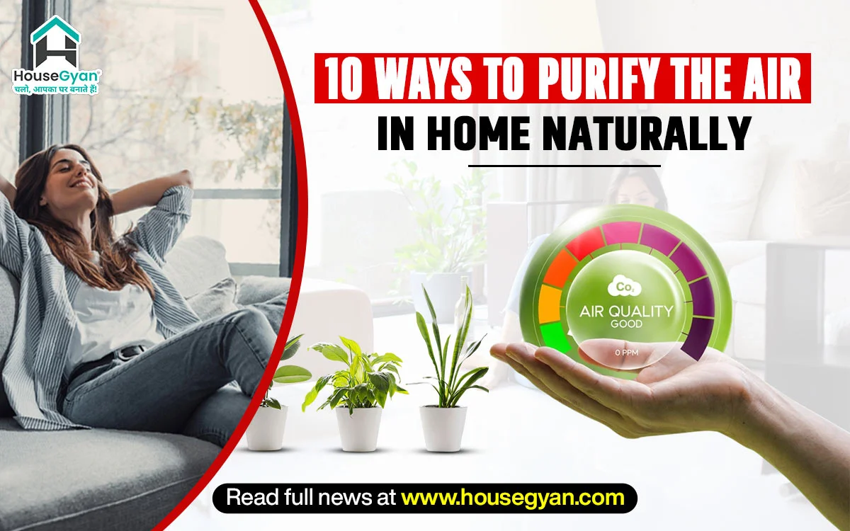 10 Ways to Purify the Air in Home Naturally