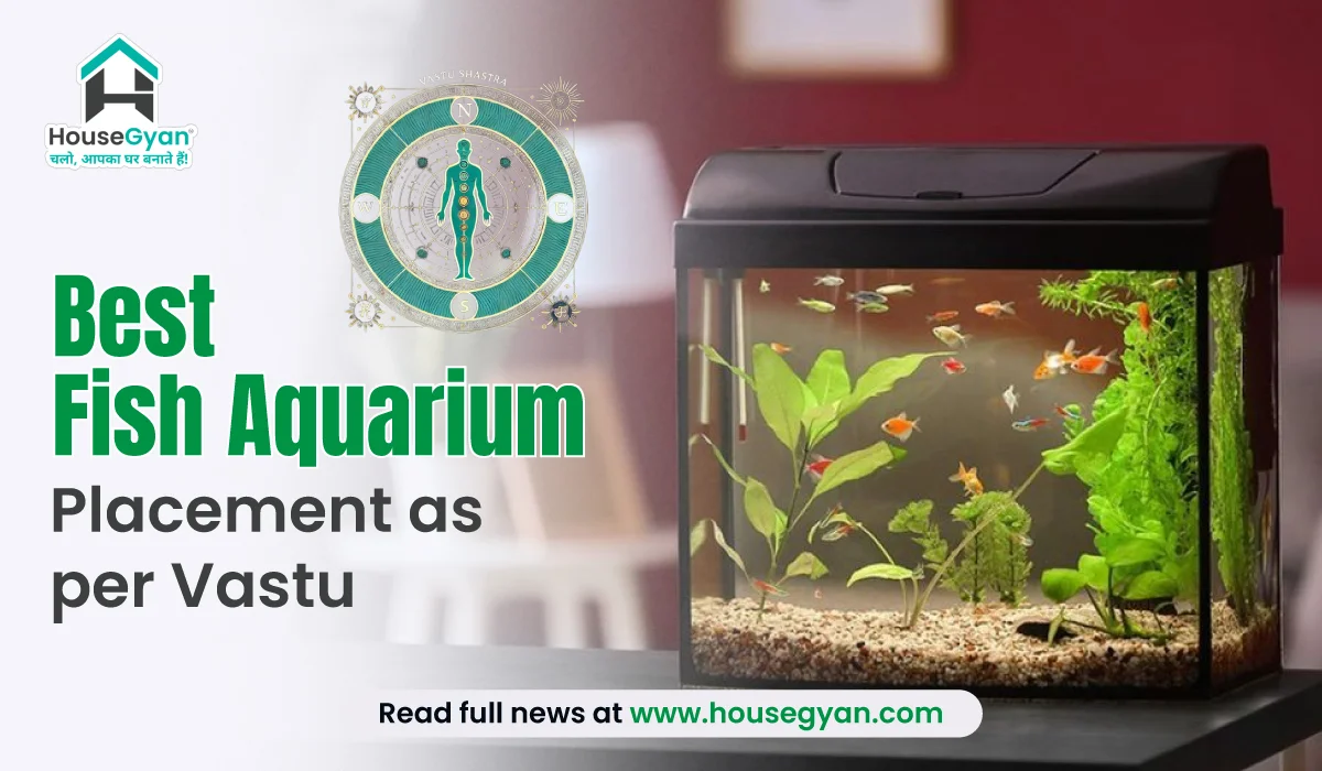 Best Fish Aquarium Vastu Tips to Bring Peace & Prosperity